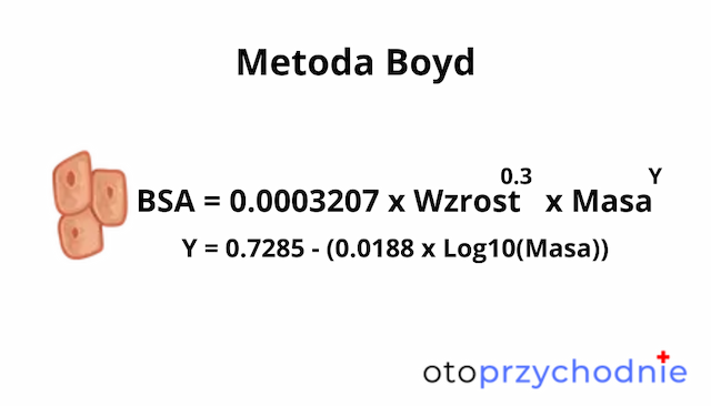 Kalkulator BSA (Body surface area) online - Otoprzychodnie